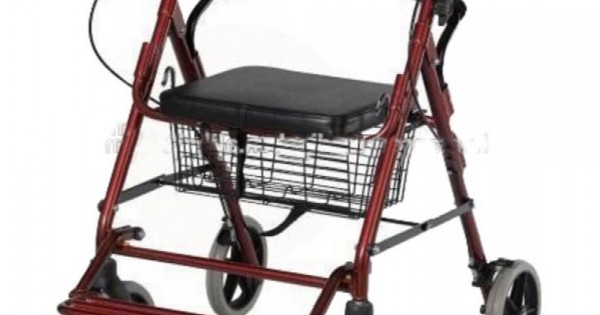 Karma Rollator Walker: Buy Rollator Walkers Online at Lowest Price for ...