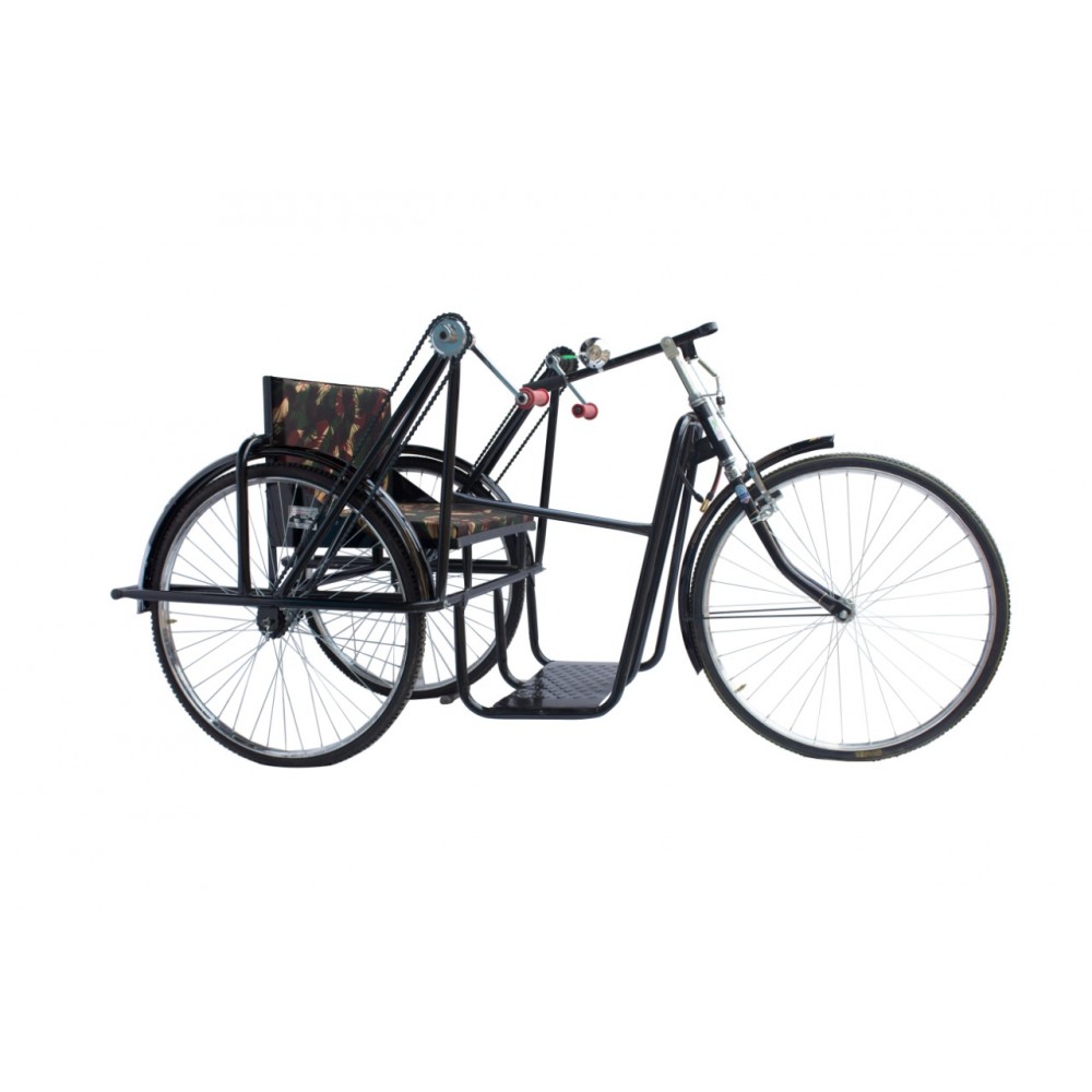 ISI Mark Handicap Tricycle Double Hand Drive @ Rs 9999